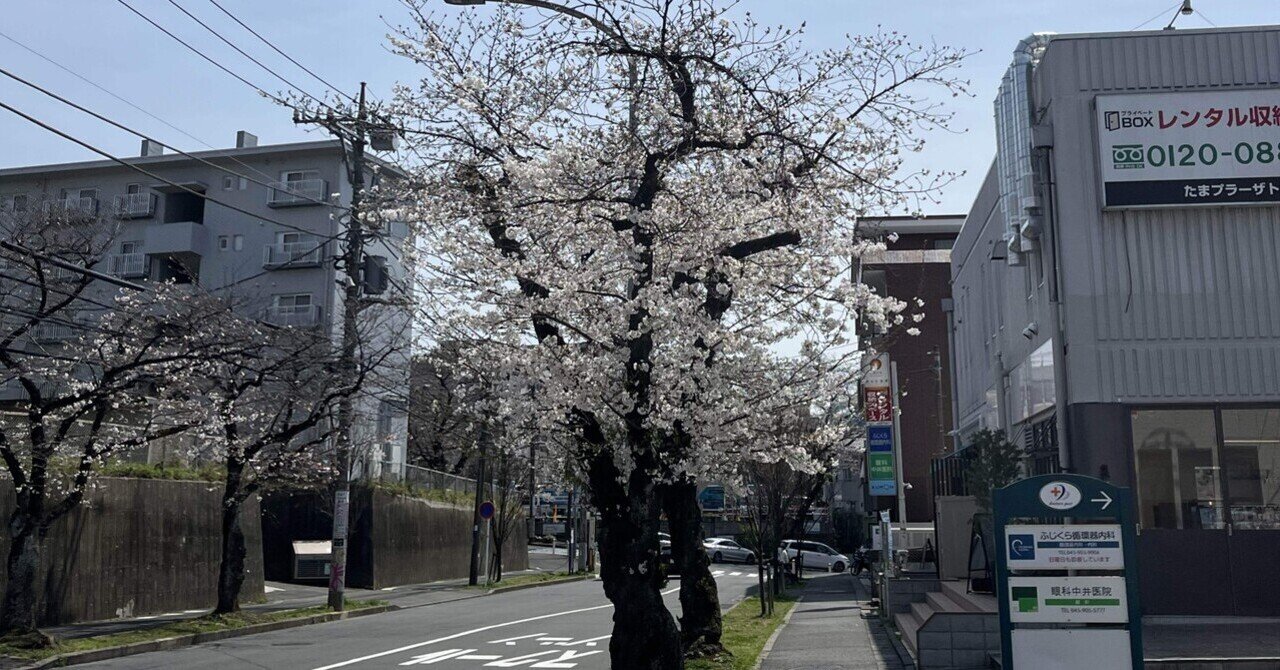 4月1日 1年後｜chisa_0426