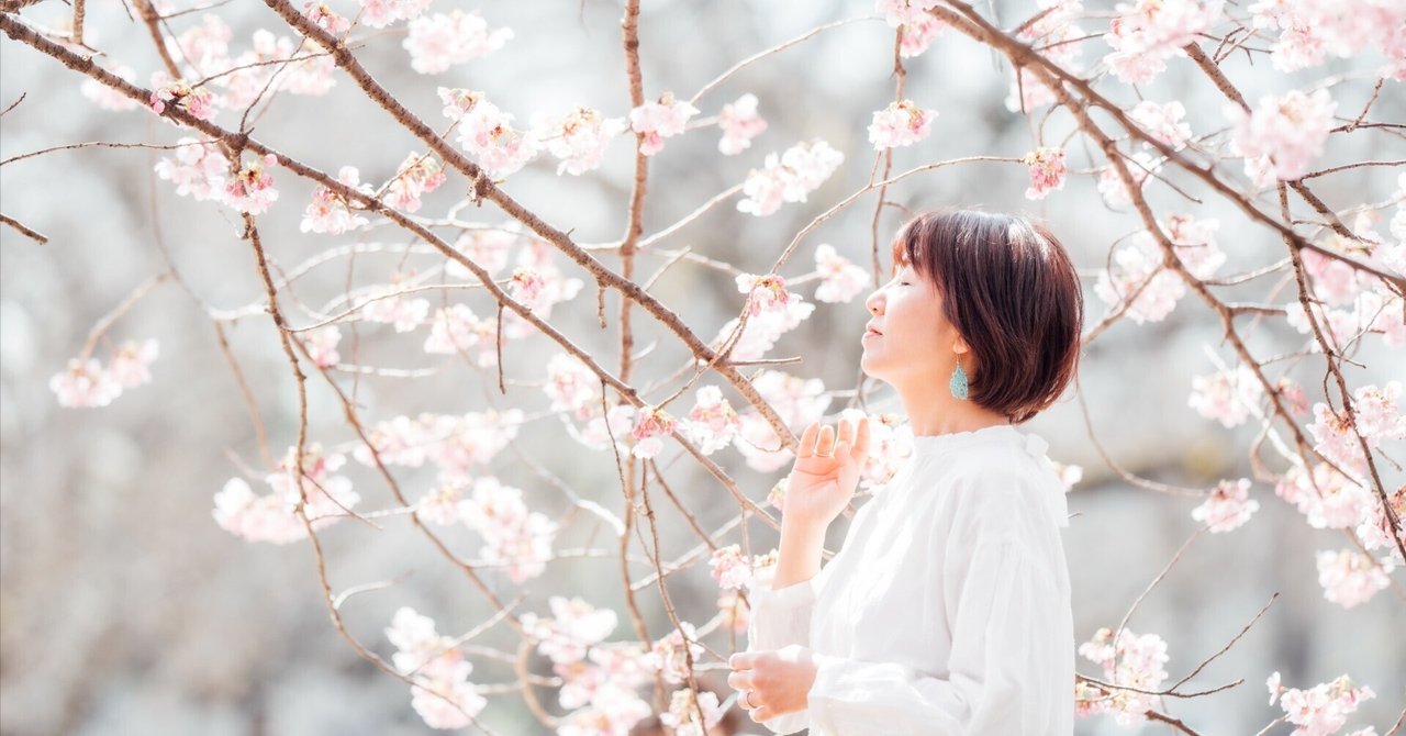 桜ポートレート｜Yuko Tanaka