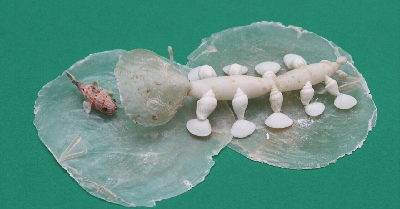 「ムカデメリベ」｜zoo_shell