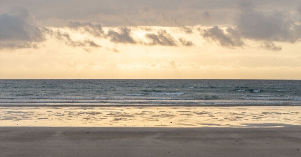 豊田 有希｜Yuuki Toyoda｜note