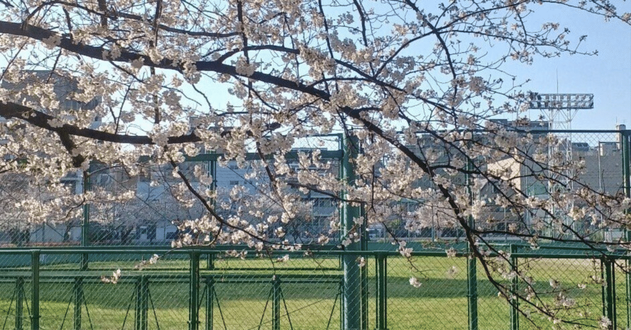 Robocorp～気づけば自動化には欠かせないPythonと生成AI～｜KATSU