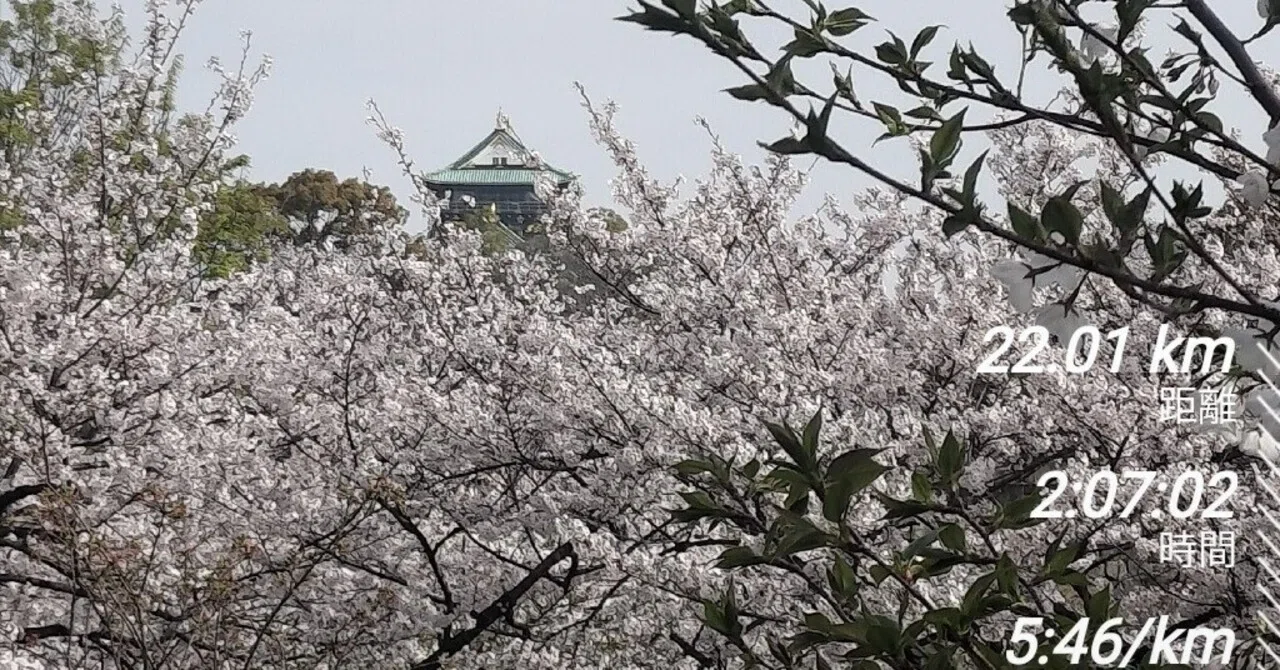 708.大阪城4周ジョグ2時間22km☆満開の桜🌸｜主聖霊教会/ランニング部|キリスト教福音宣教会