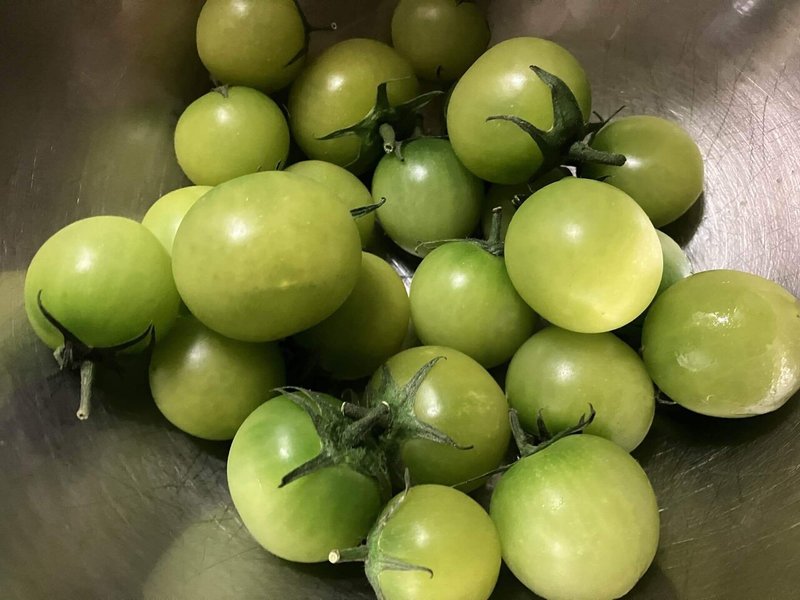 摘果トマトのピクルス Pickled cull tomatoes｜Kusamakura