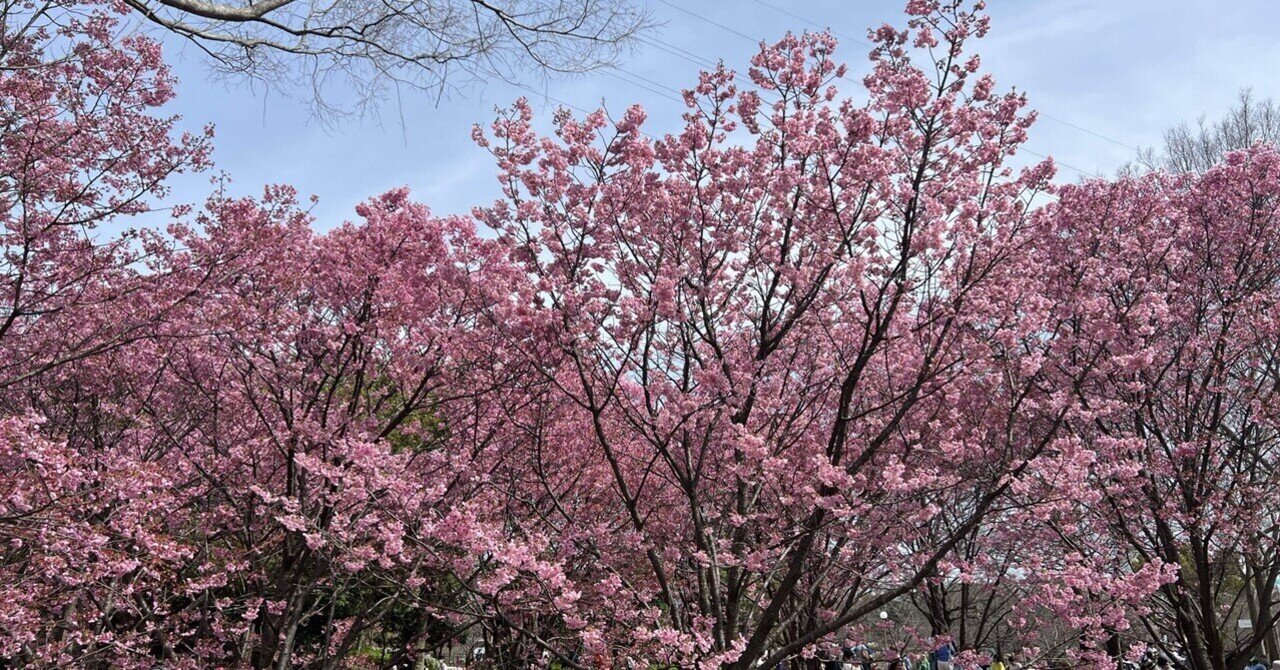 【仕事】人事に異動したいと言いました。｜ふゆみ HSP26歳OL