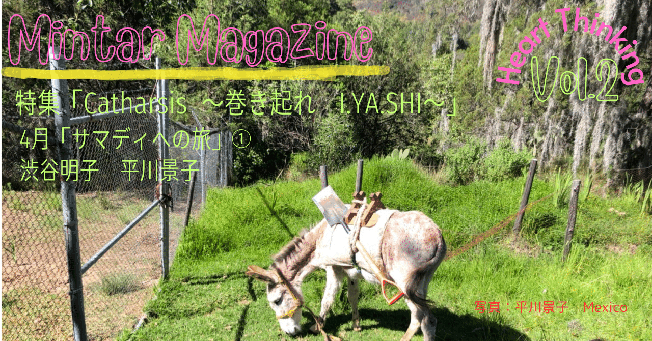 サマディへの旅 Ep.1 信じることを学ぶ｜RADIO_MINTAR