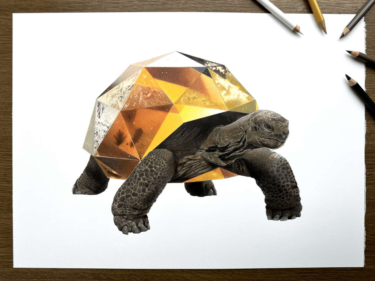 色鉛筆で描きました！｜安部祐一朗 Yuichiro Abe