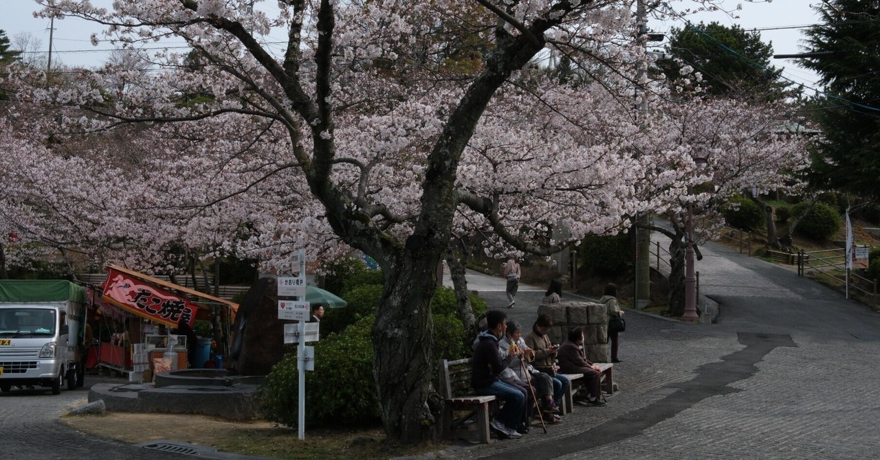 Fujifilm X-T5で、尾道の桜を撮ってみた。｜fold_hama