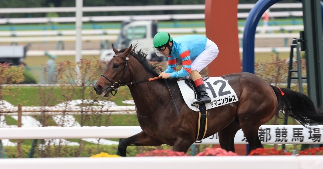 202447 💰阪神モーニングは2日連続＆2週連続的中💰3歳未勝利（阪神1r）【推奨度s】※見解付※再販売｜競馬予想家あやね