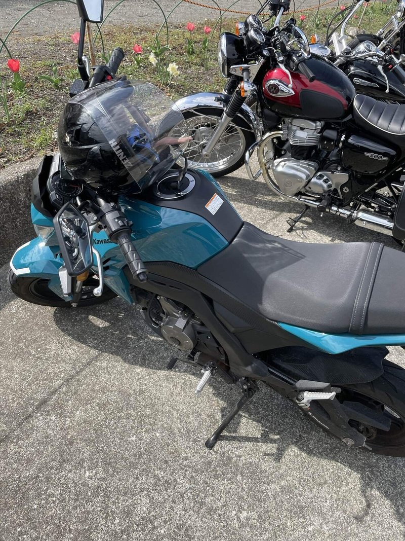 🌸お花見｜kazu.k