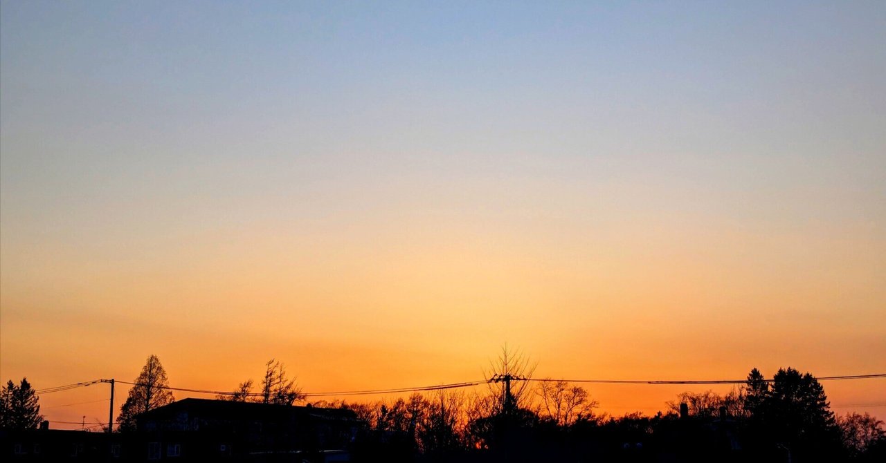 頑張った｜sacchin