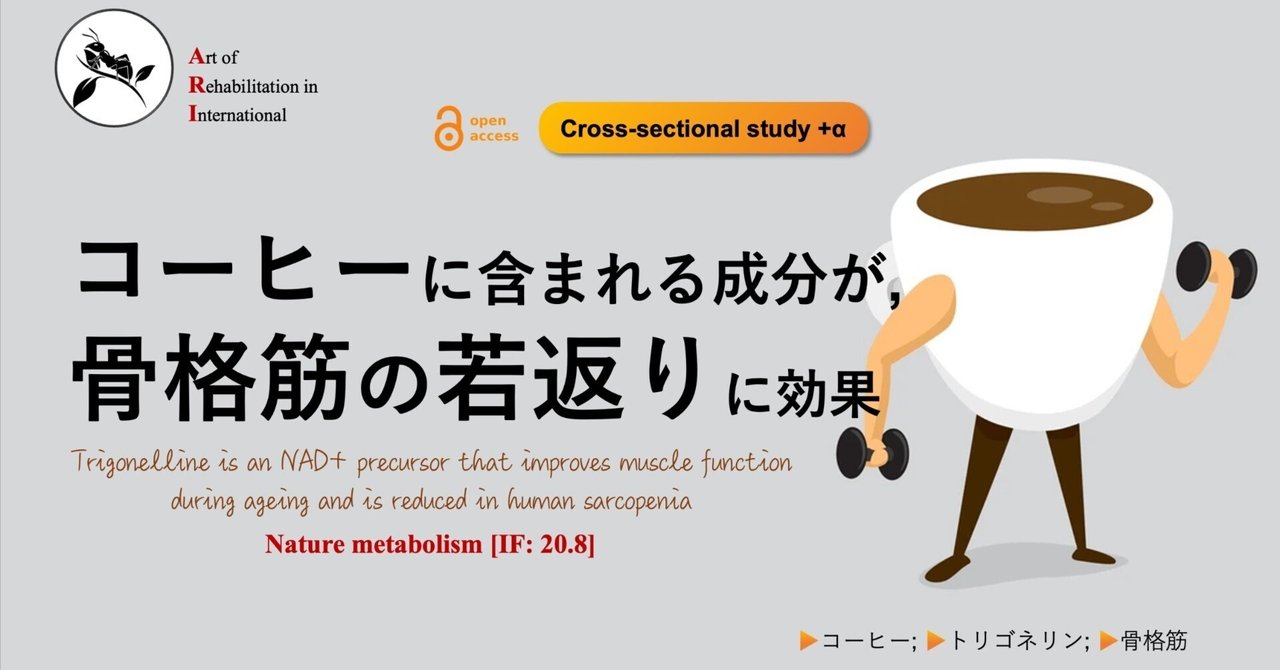 コーヒーに含まれる成分が骨格筋の若返りに効果｜super Human 理学療法士／保健学博士 Phd