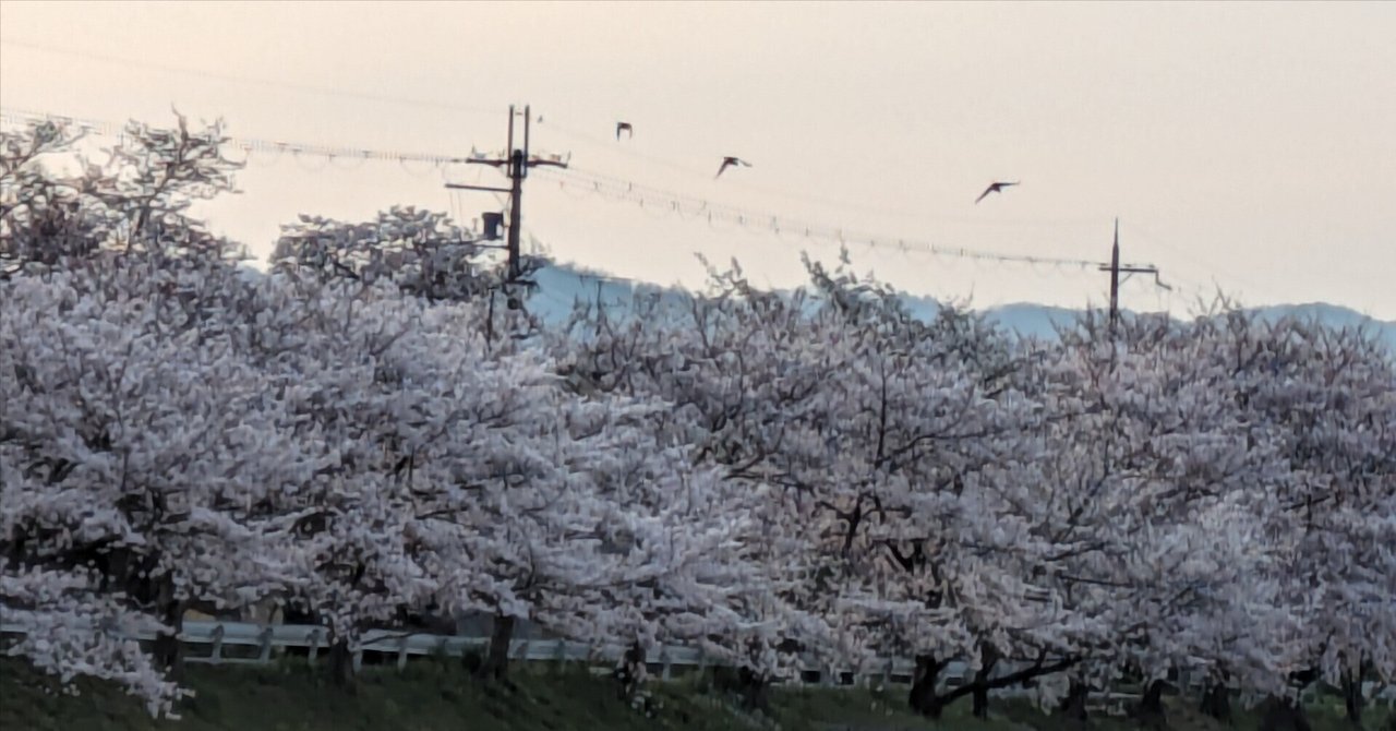 笑ったり泣いたりの動画｜ichiro70