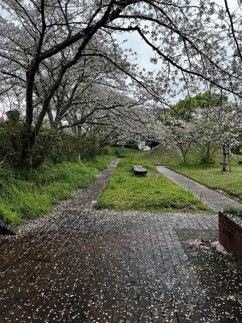 10日間の九州冒険譚をまとめたいと思っている｜坂口佳世｜ぐっち｜プロコーチ・彫金ワークショップ