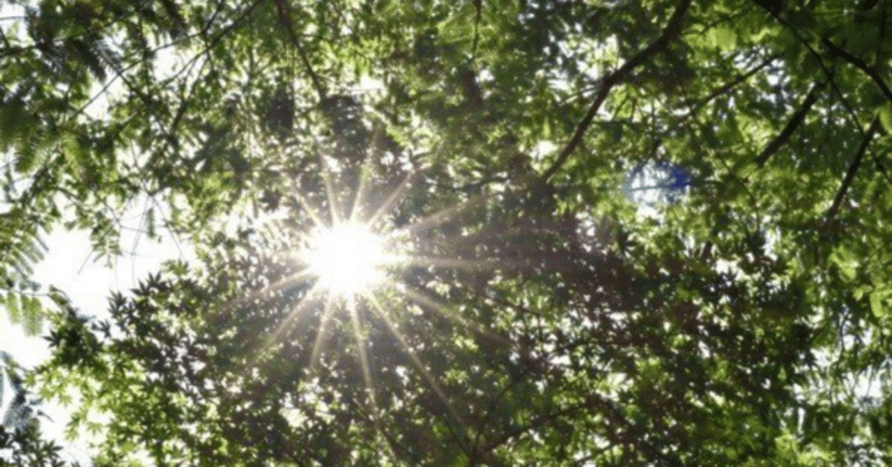 【ウエルエイジング】世代架け橋スクールという妄想｜【幸せ案内人】馮 麗萍 Liping FENG