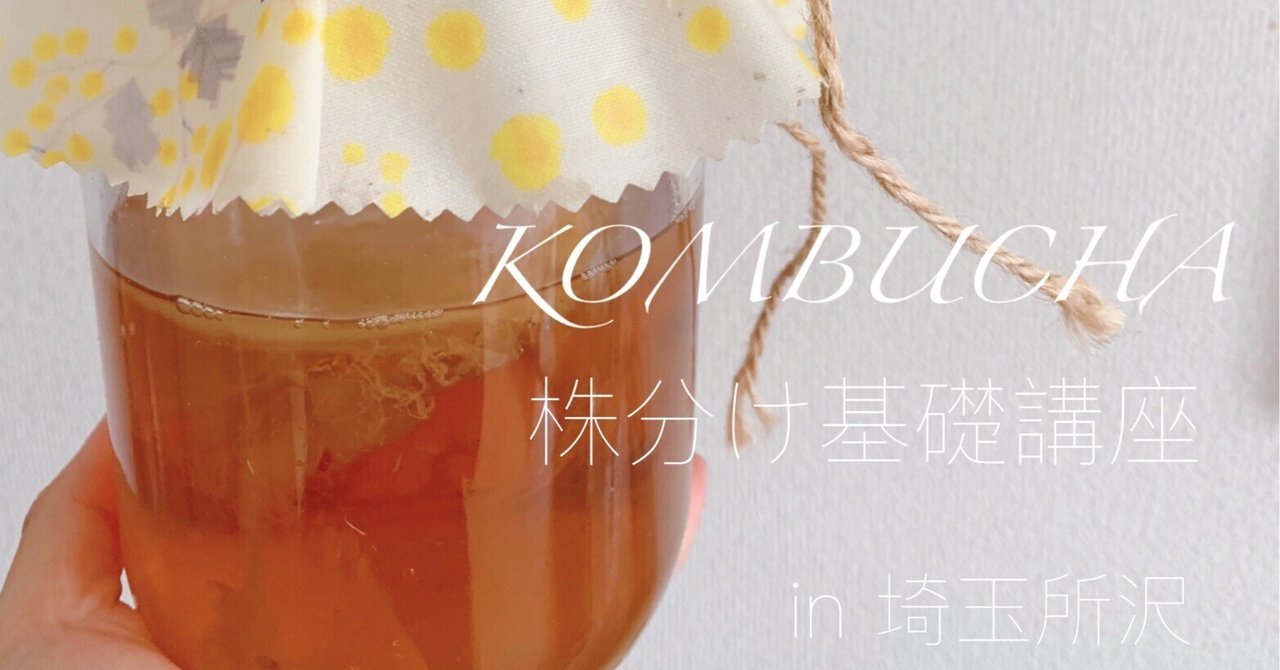 4/21(日)KOMBUCHA株分け基礎講座in埼玉所沢｜Mahina Kaila_Yoko