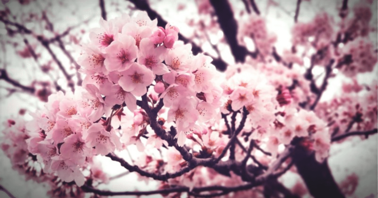 「新生活」＃シロクマ文芸部｜sanngo