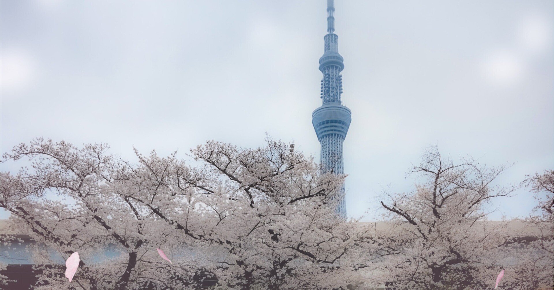 Roria's Moonroom｜note