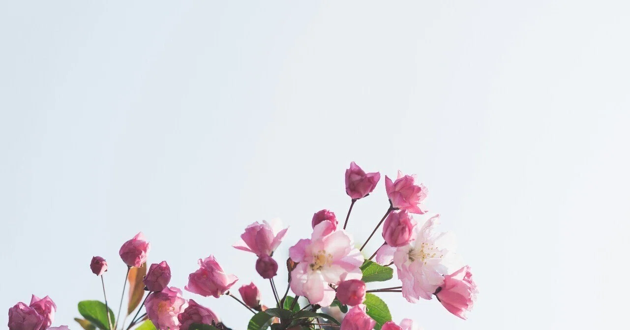 miu｜note