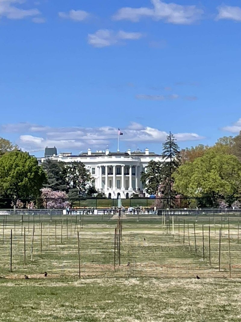 ワシントンD.C.｜Satoshi Ogiwara