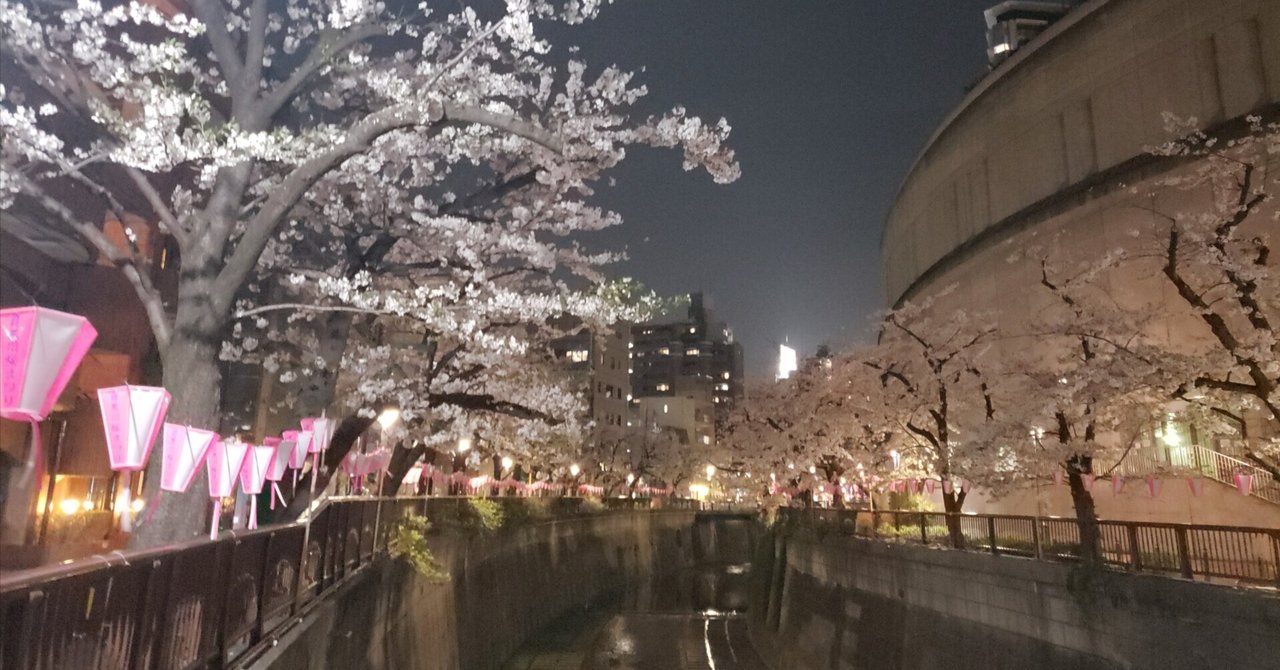 目黒川の桜横断物語｜OtsukaYosuke 大塚陽介