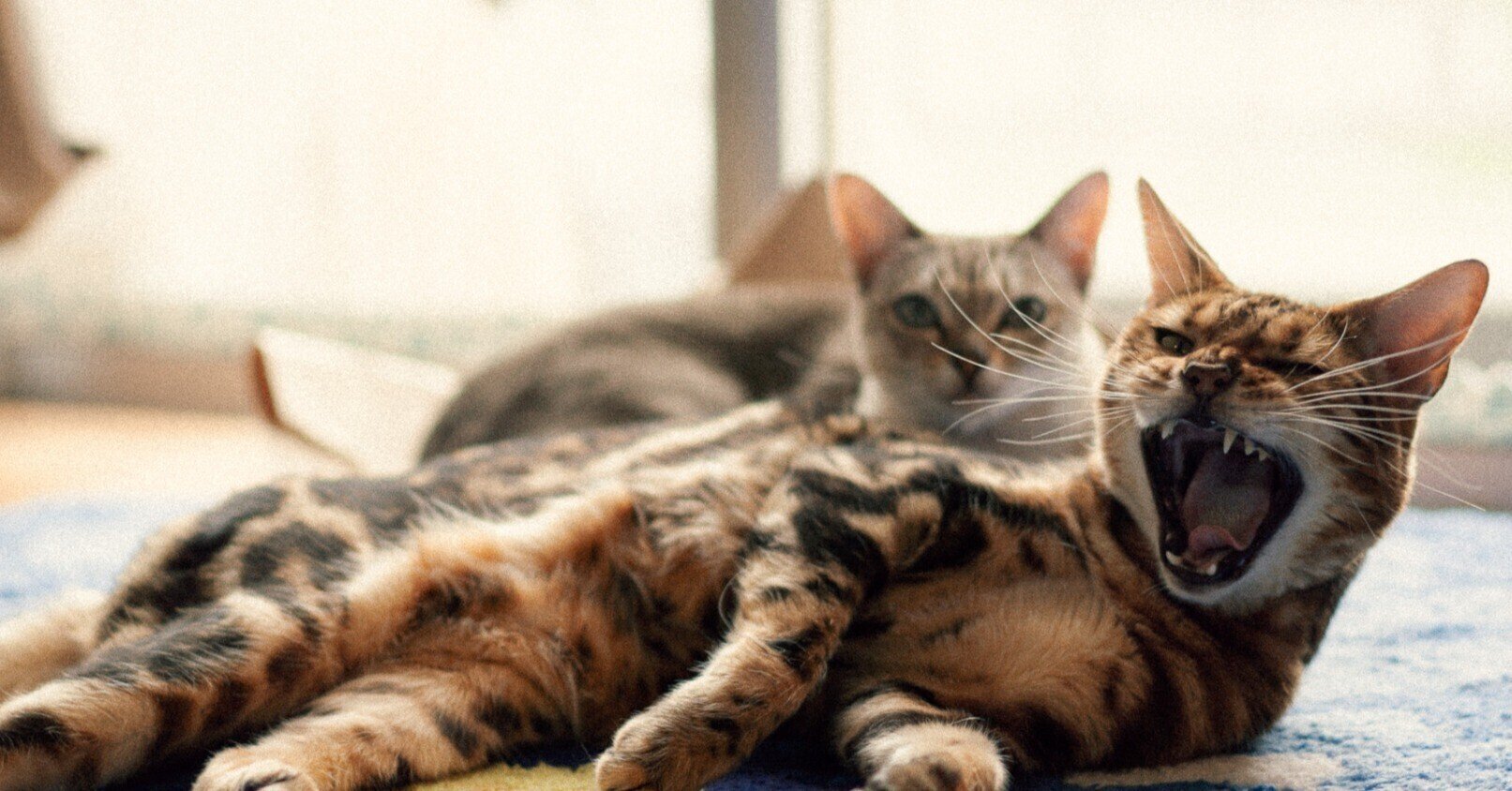 ナガタ / Tsukasa Nagata｜note