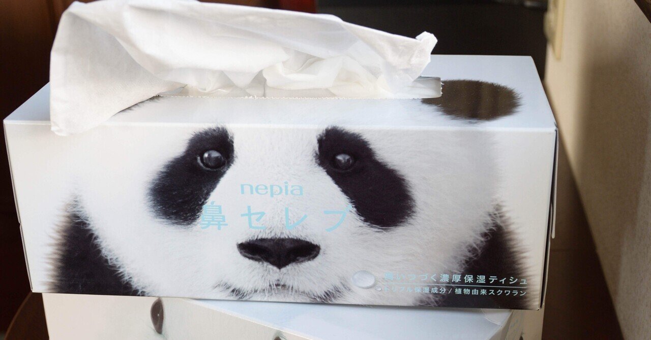 ニイハオハンカチさん｜tomomo_nihao友も