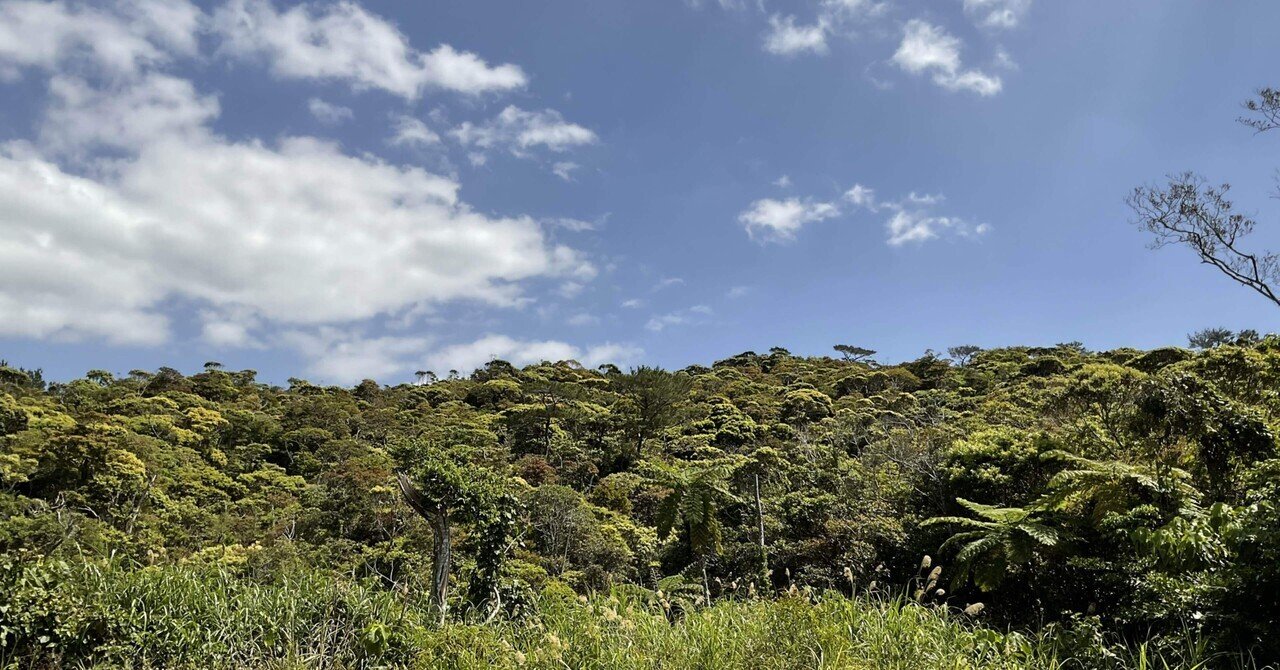 うりずん｜telulu_okinawa
