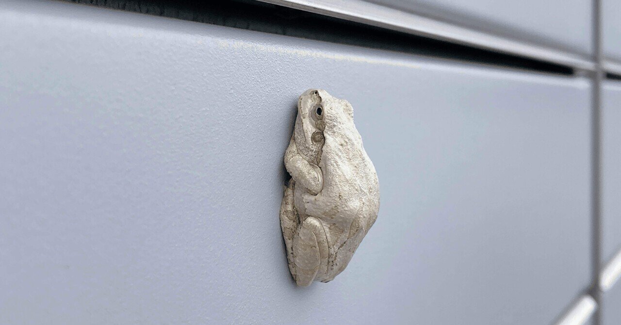 密かなアイドル｜Imatomi Aiko