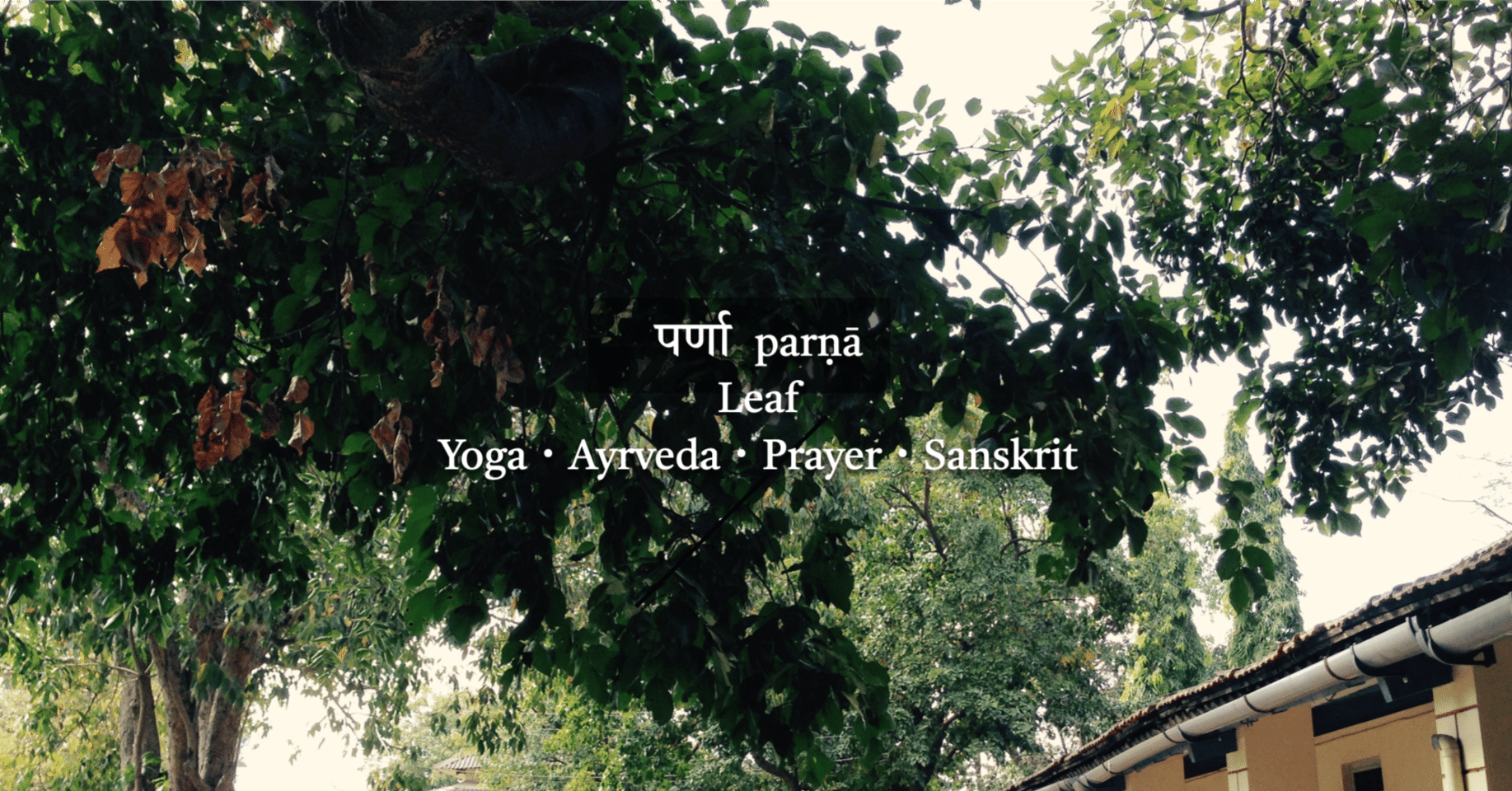 parṇā_minako｜note