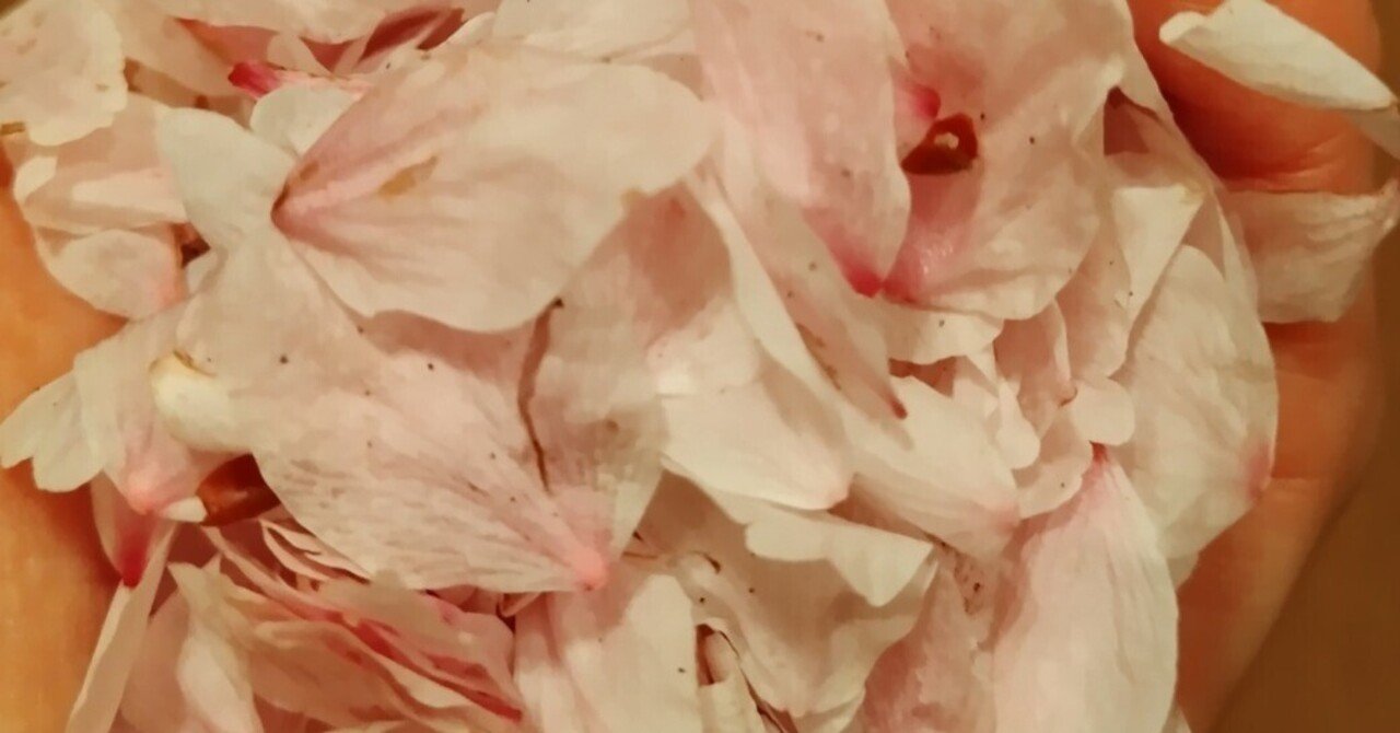 答えのない問い｜つき