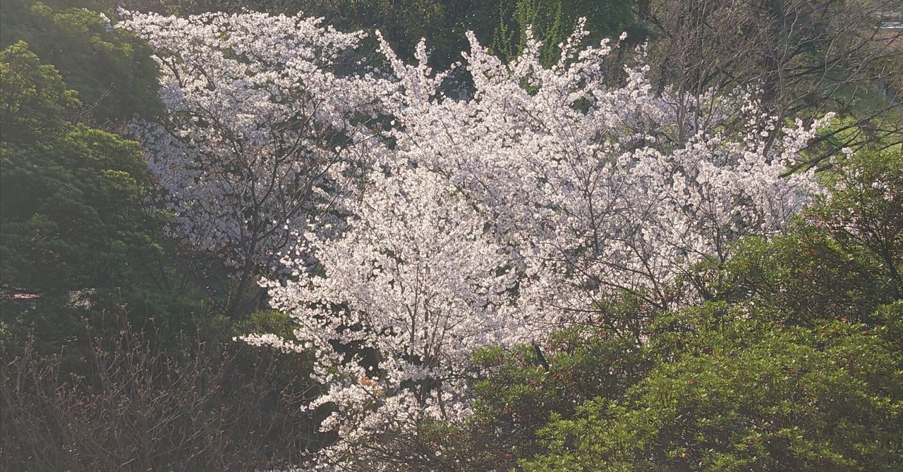 【KIN172】2024/04/10｜tou