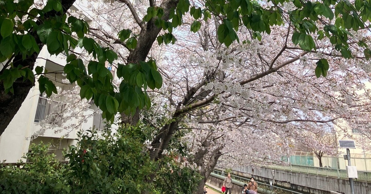 春の嵐の日に思う事｜gorogoro_99