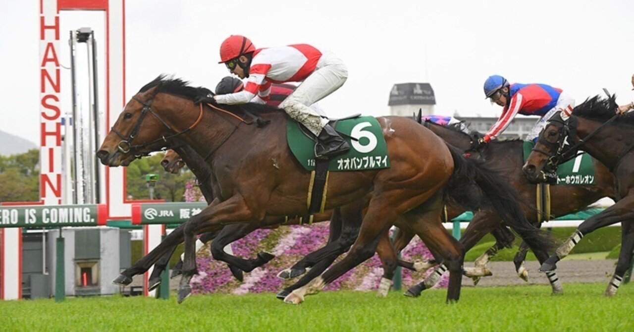 【2024 アーリントンカップ（G3）】徹底的に攻略データ篇｜Haya