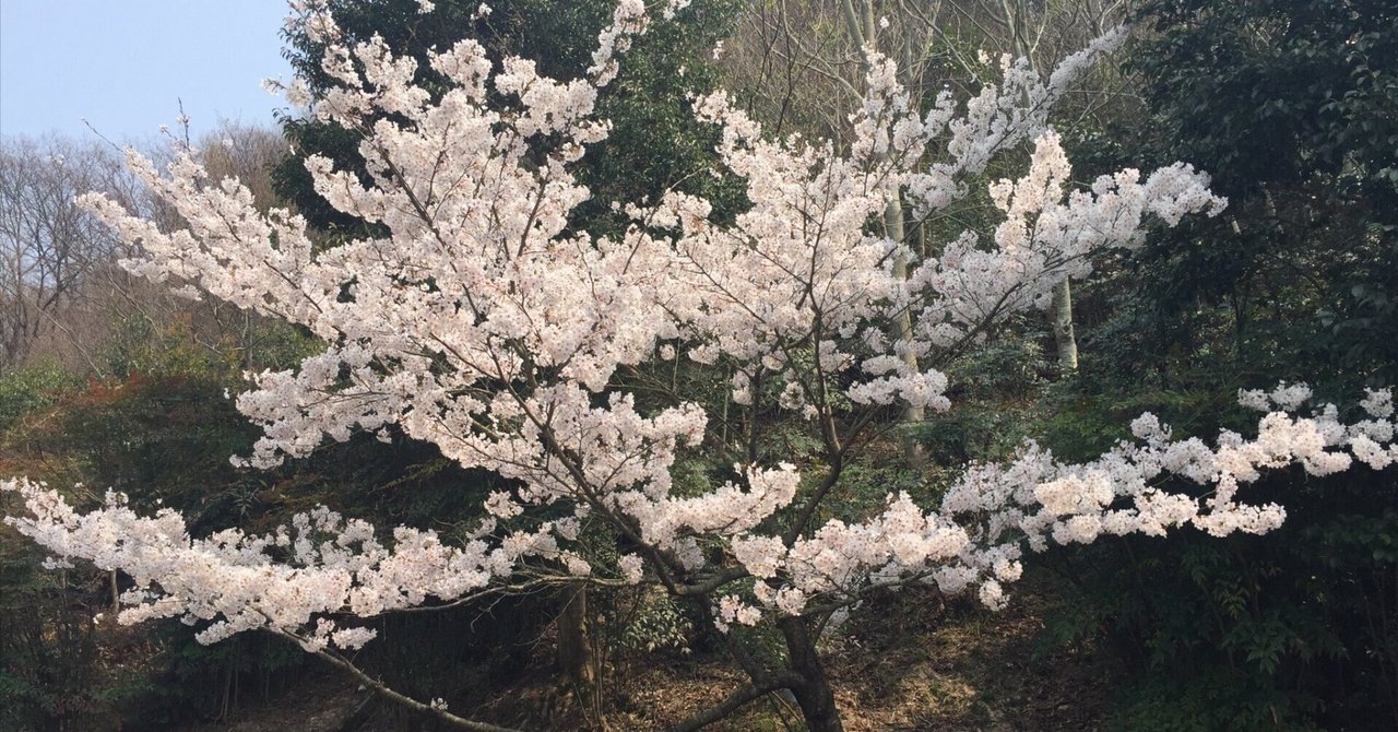 2019年4月10日アーカイブ｜dise DESIGN STUDIO