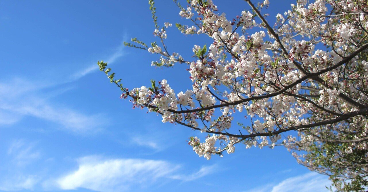 本日は晴天なり｜micay_lala