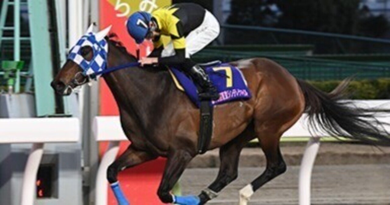 大井競馬【🔥👊🏇激熱勝負レース🏇👊🔥】411(木)【11r】モルガナイト賞競走(発走時刻2000)|さやだま