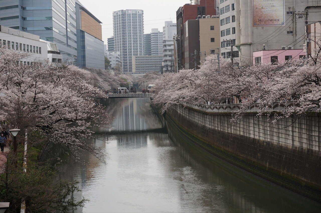 ページタイトル用｜MITSUDA Tetsuo