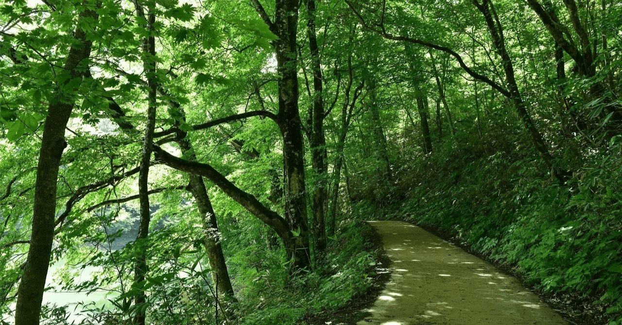 ナチュラル｜sacchin