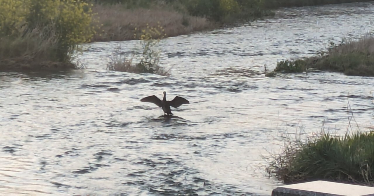 第3巻 249番 ~作者 柿本人麻呂｜ichiro70