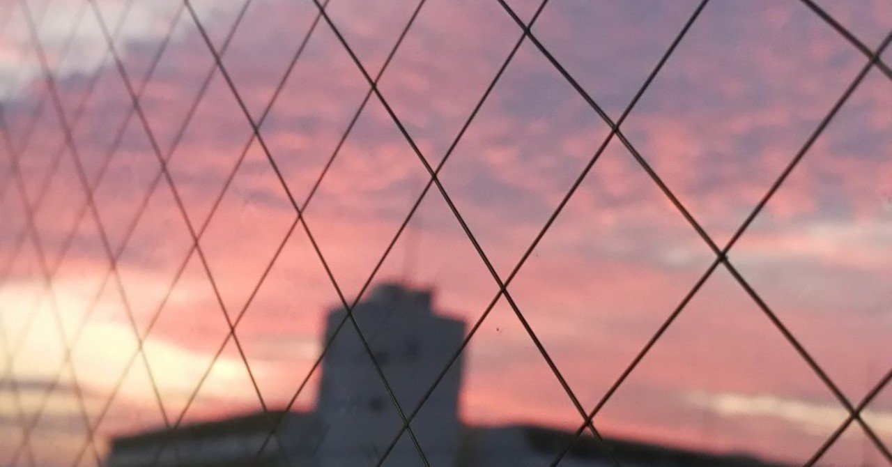 私は空を飛べる その2｜新 まおり | Maori Atarashi｜note