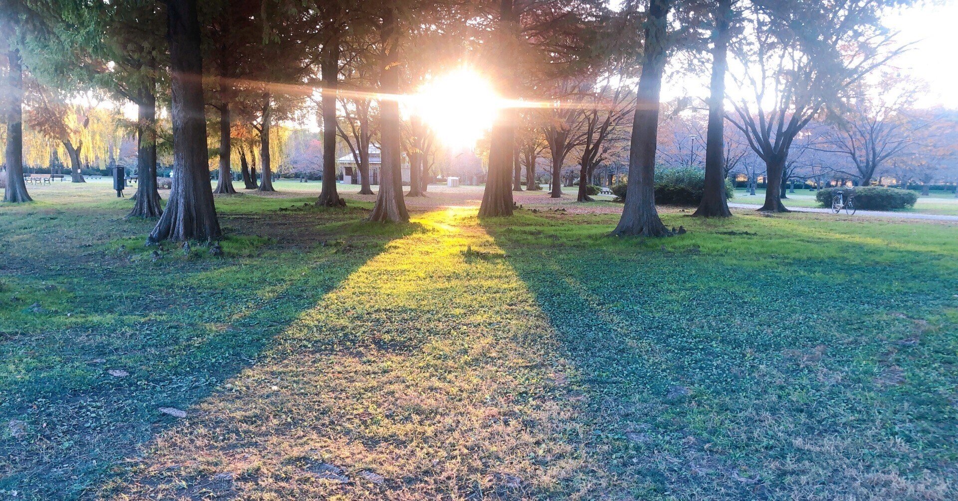 水無瀬 まみ(Minase Mami)｜note