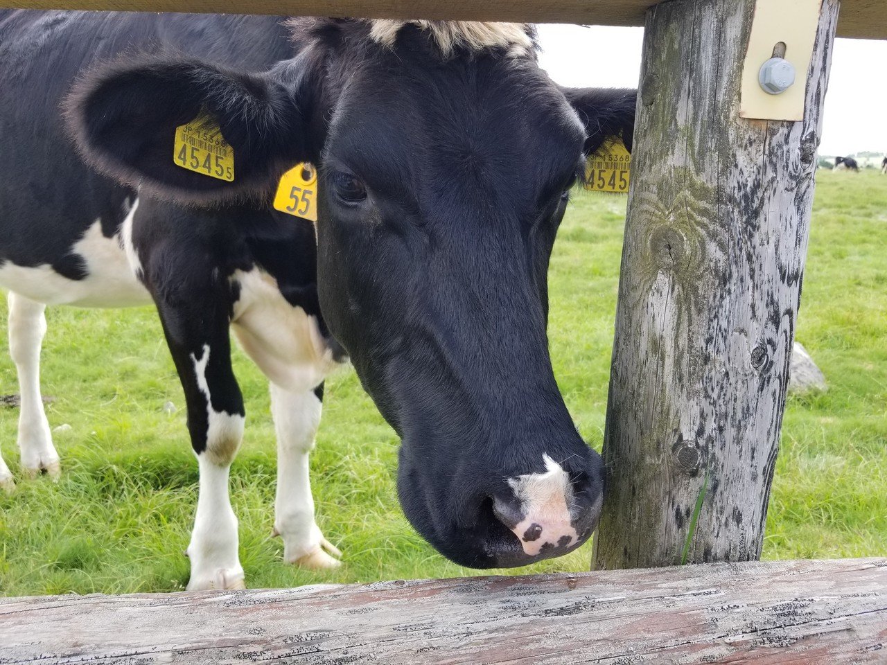 美ヶ原高原2｜sorairo555