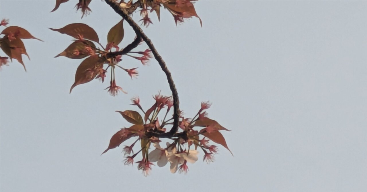 笑ったり泣いたりの動画｜ichiro70