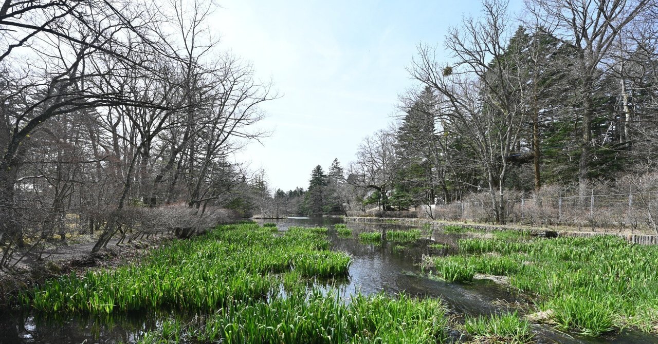 安定という名の幻 変化と不安定を常識として生きているならば｜Kenichi Aichi