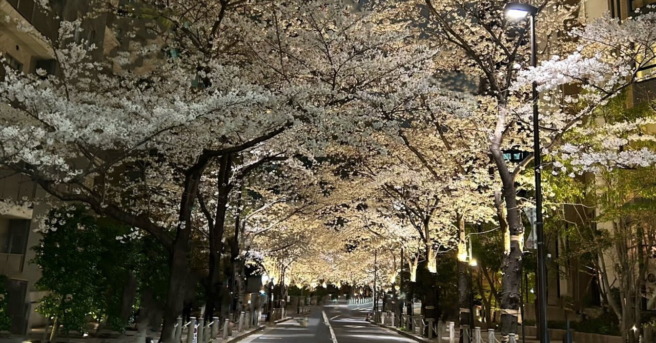 ayano_leizei 冷泉あやの｜note