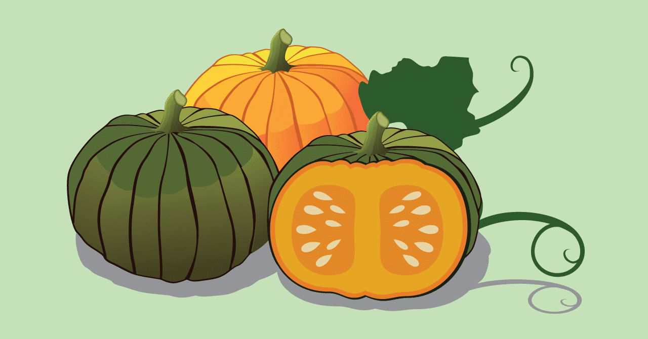 【空日誌】カボチャ＃34｜Akari Kinoshita