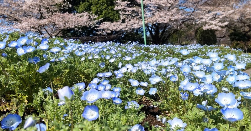 嫌な事をずっと考えてしまう人にお勧めの本|葉の香り