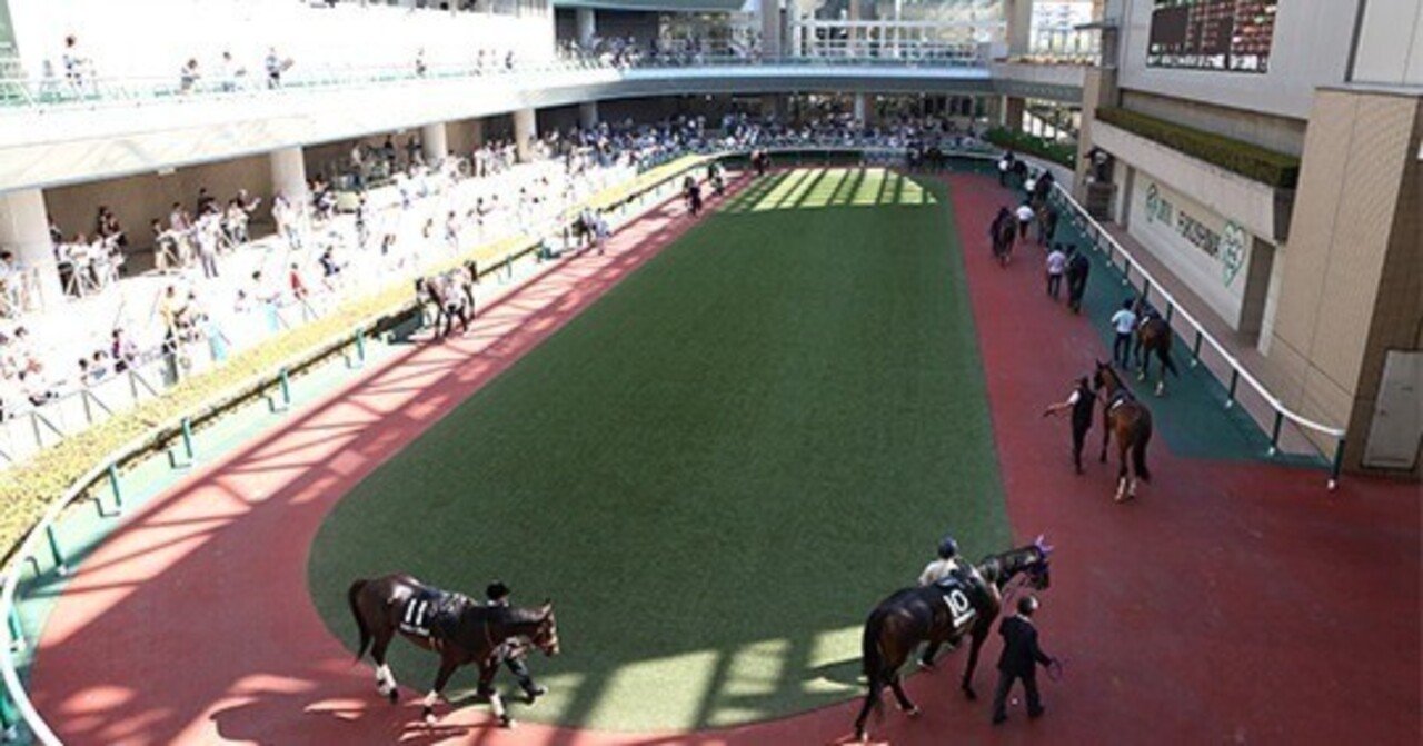 【🔥ss勝負勝負🔥🚀】【福島4r】3歳未勝利💰｜さやだま