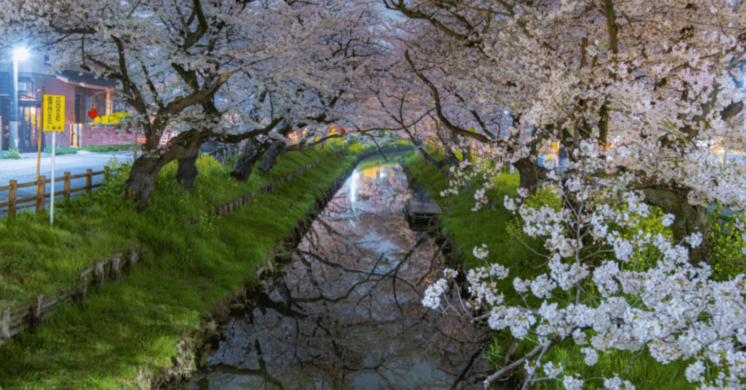 アーニャFX｜note