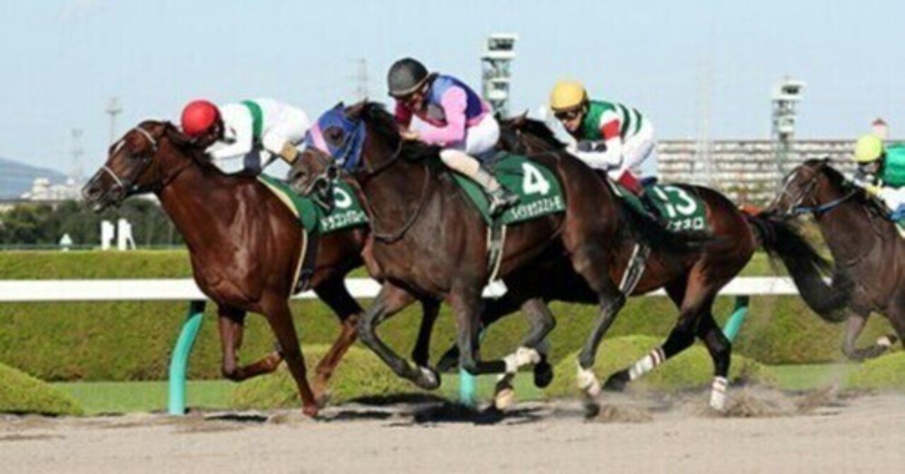 【🔥激熱ss勝負レース🔥🚀】【阪神11r】アーリントンカップ（gⅢ）💰｜さやだま